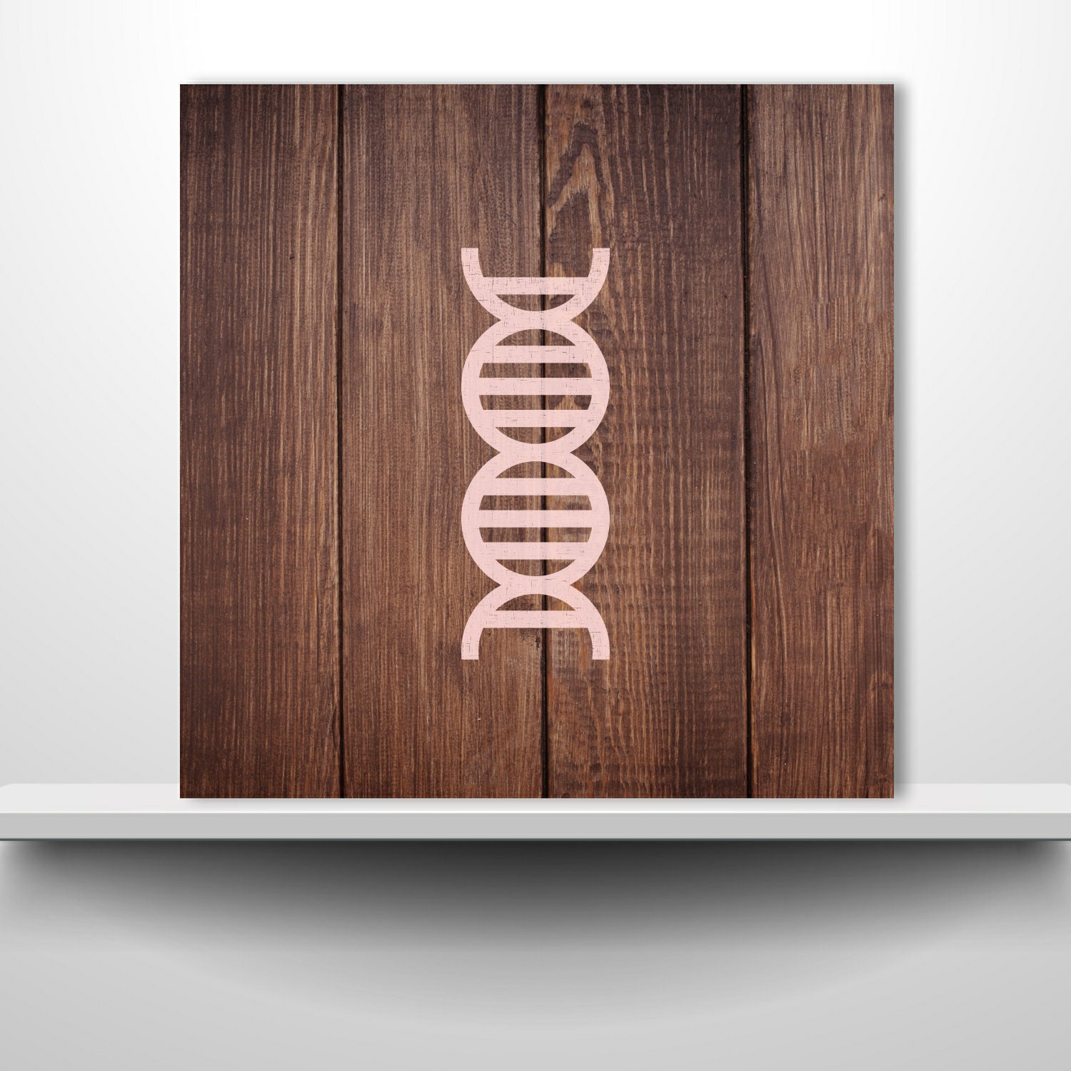 Dna Helix Stencil Plastic Mylar Stencil for Painting Walls - Etsy