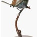 Life Size Robin by Steve Langford - Etsy