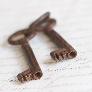 Pair of Old French Skeleton Keys on Keyring Set or 2 Antique Key ...