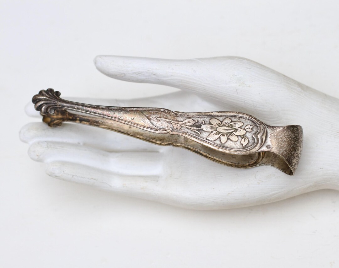 Clam Shell Ice Tongs - Scalloped Seashell Silver Plated Sugar Tongs ...