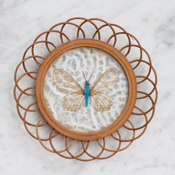Vintage Butterflies in Round Frame - Etsy