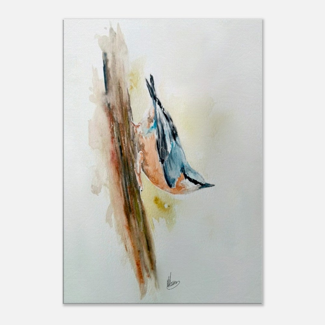 Watercolour Bird Print, Nuthatch Watercolour on Canvas, Canvas Art ...
