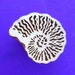 Sea Shell Spiral Wood Stamp Hand Carved Fabric Textile Indian Print ...