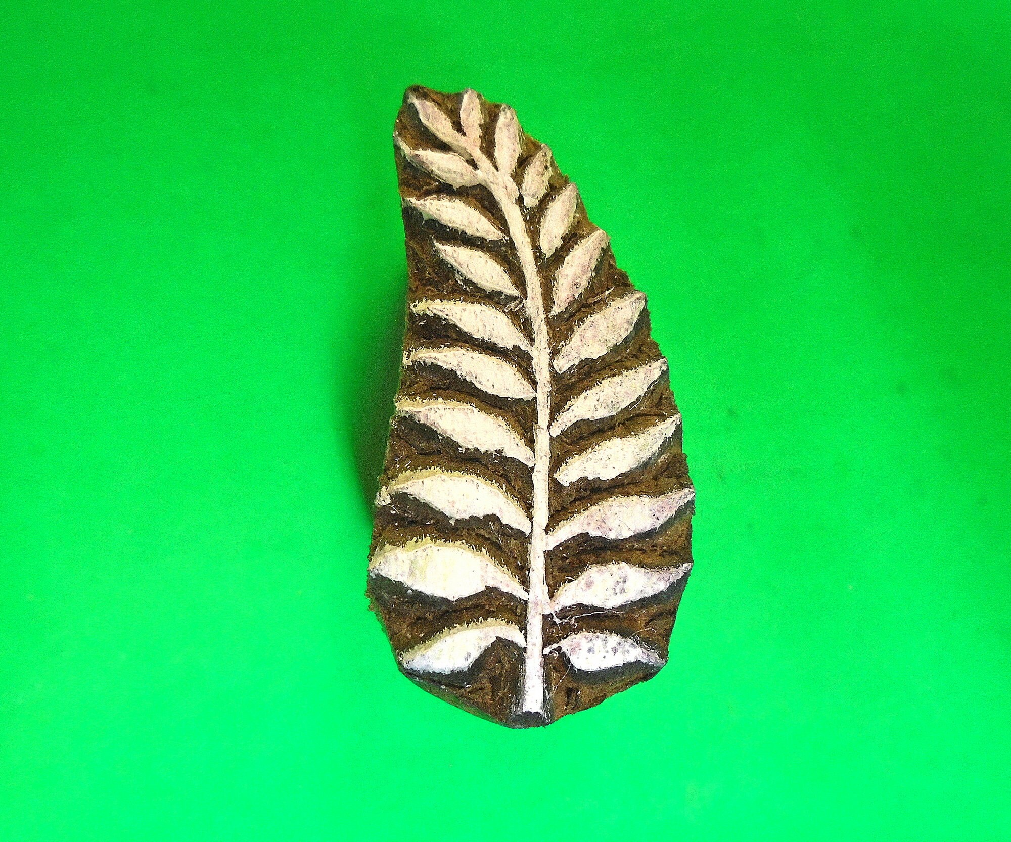 Fern Leaf Hand Carved Indian Print Block Wood Fabric Textile Clay ...