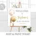 Gender Neutral Welcome Sign White and Gold Balloons Baby | Etsy