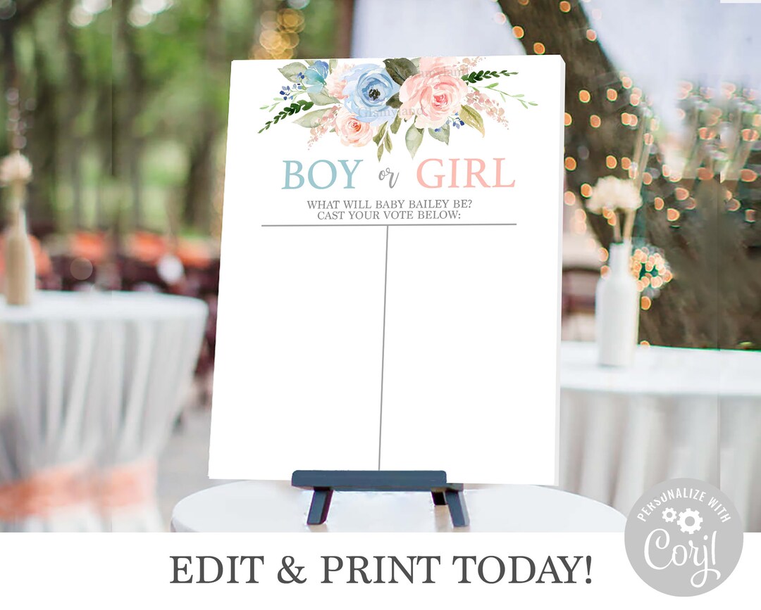 Boy or Girl Chart, Guess the Gender Sign, Pink and Blue, Baby Shower ...