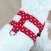 Dog Harness Star Spangled Easy-on Dog Harness 9 Sizes - Etsy