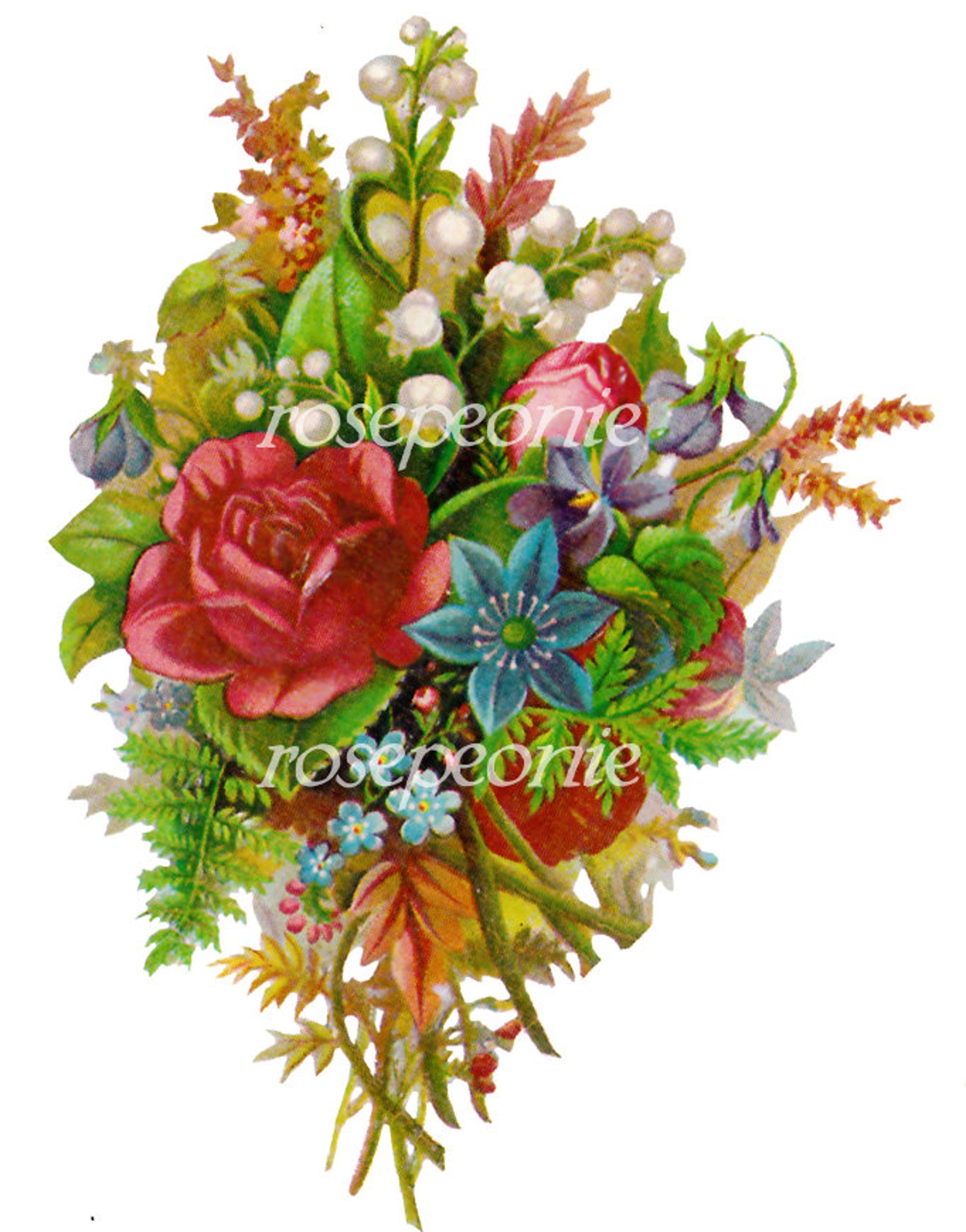 Victorian Rose Bundles Beautiful Romantic Images for - Etsy