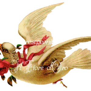 Vintage Victorian Doves With Roses - Romantic Collage Scrapbooking ...