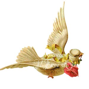 Vintage Victorian Doves With Roses - Romantic Collage Scrapbooking ...