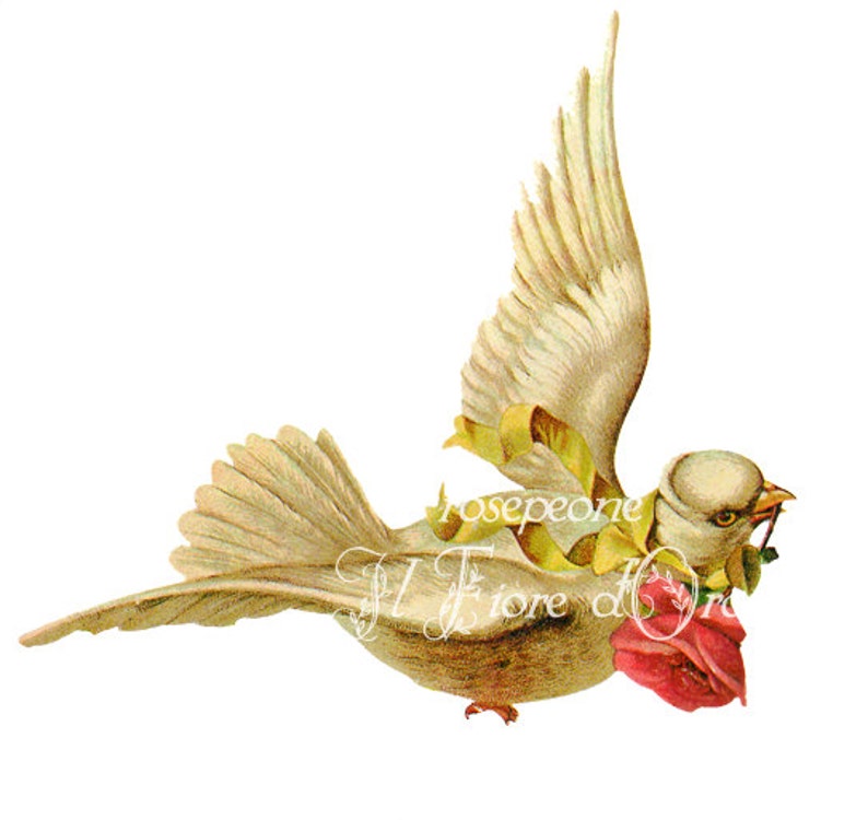 Vintage Victorian Doves With Roses Romantic Collage | Etsy
