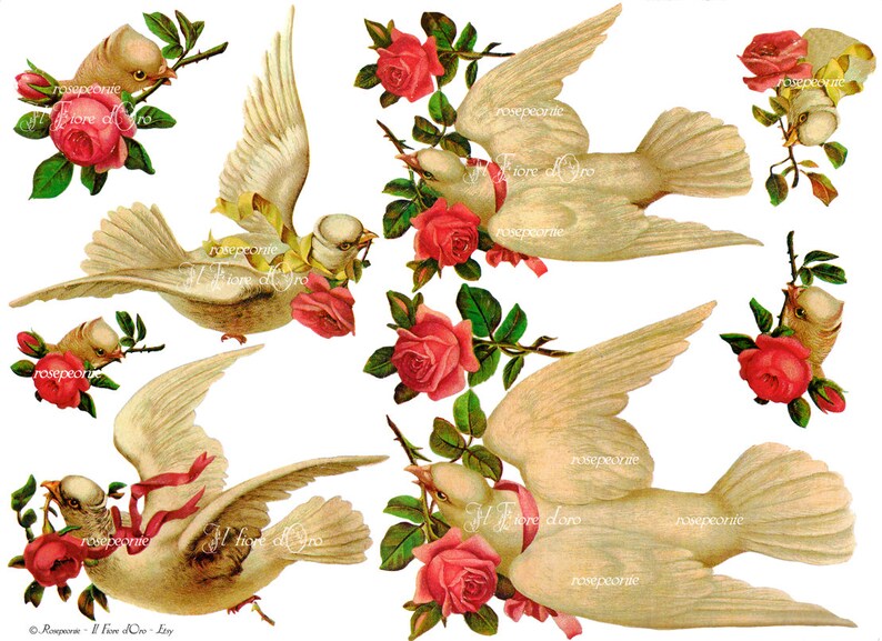 Vintage Victorian Doves With Roses Romantic Collage - Etsy
