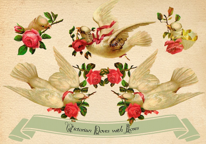 Vintage Victorian Doves With Roses Romantic Collage - Etsy