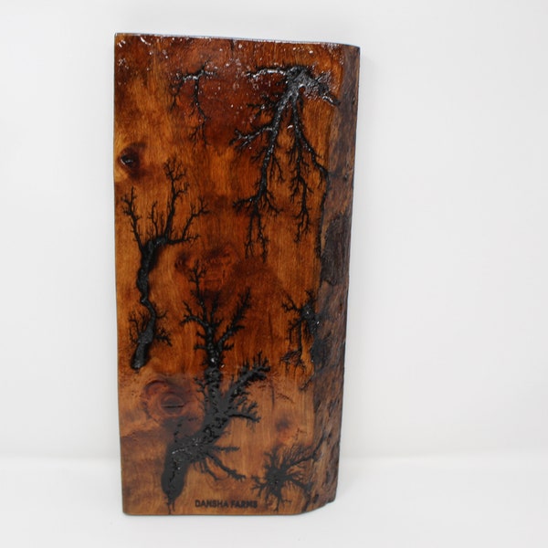 Fractal Wood Burning - Etsy
