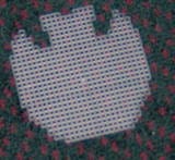 Pre Cut Plastic Canvas Bat - Etsy