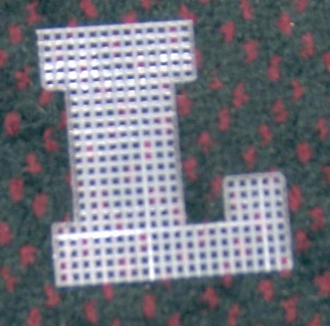 4 Inch Pre Cut Plastic Canvas Letters L - Etsy