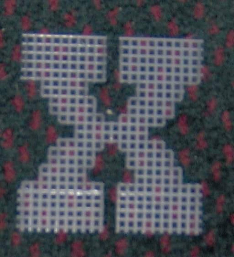 4 Inch Pre Cut Plastic Canvas Letters X - Etsy