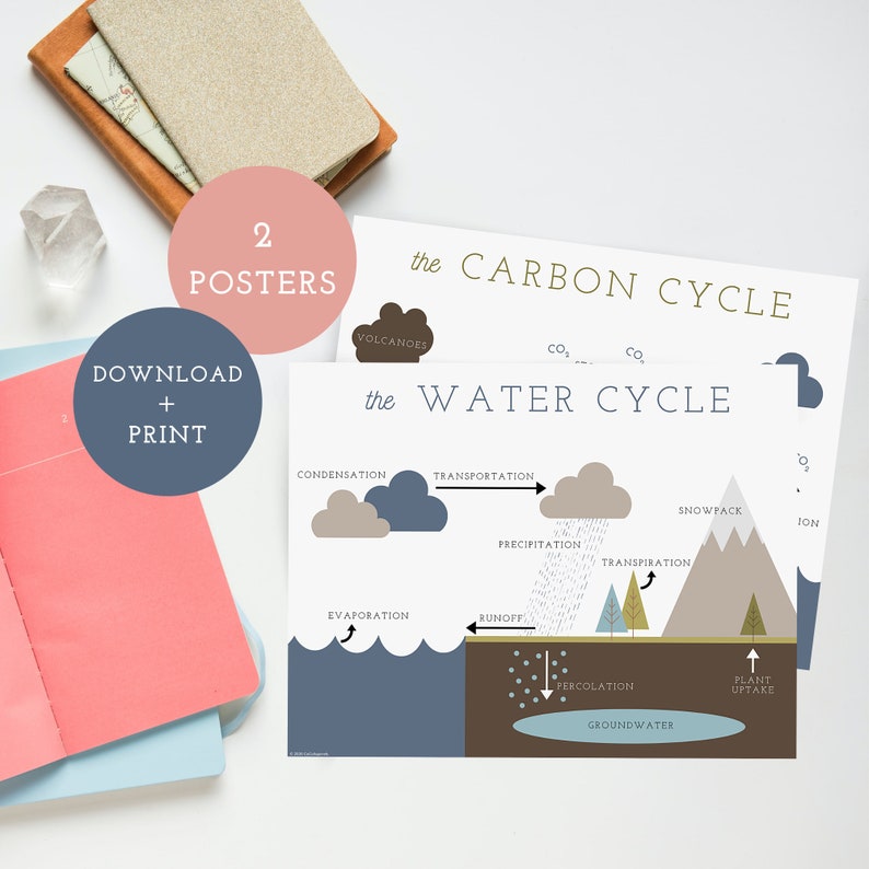 Earth Cycles Poster Set Printable // Water and Carbon Cycle | Etsy
