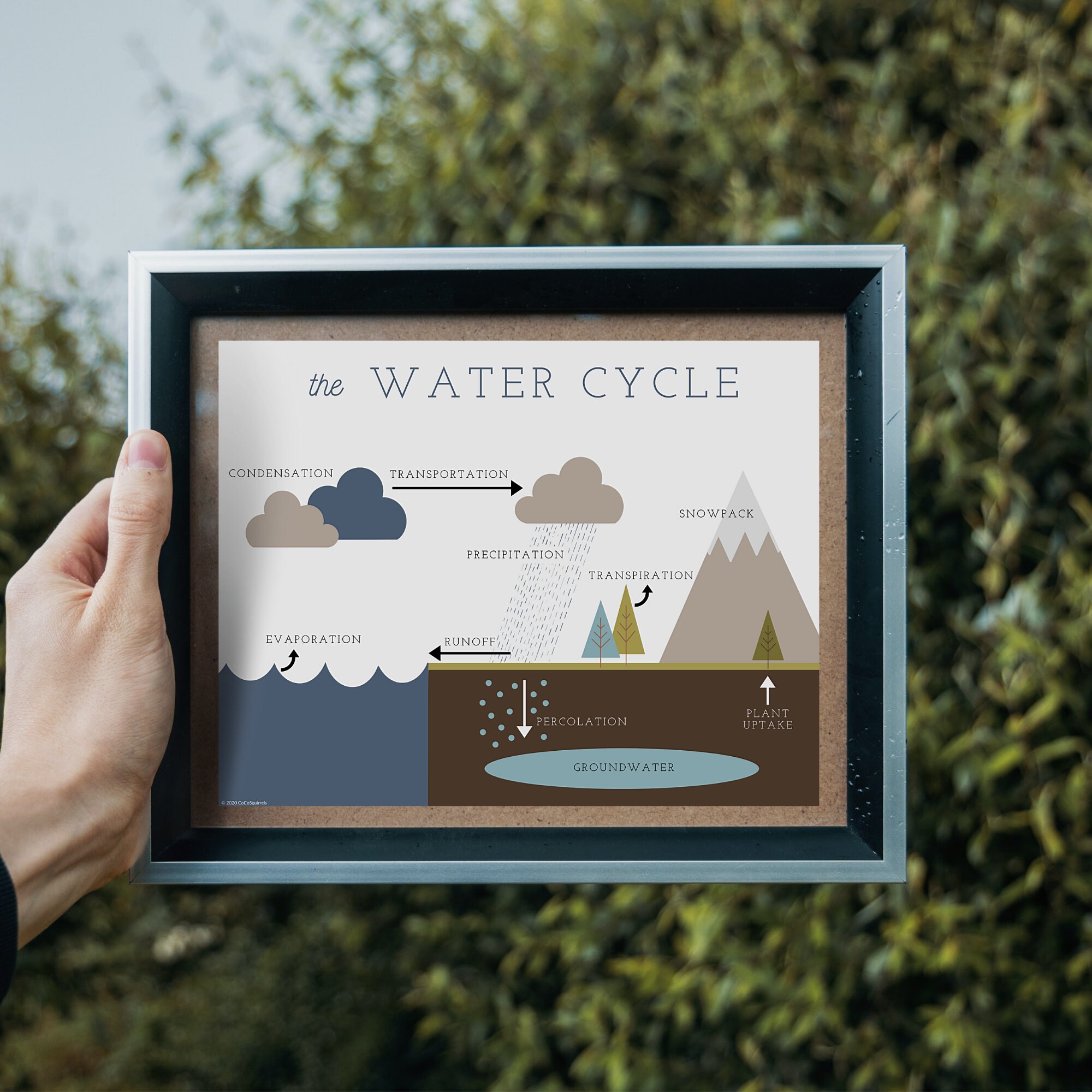 Water Cycle Printable Poster - Etsy