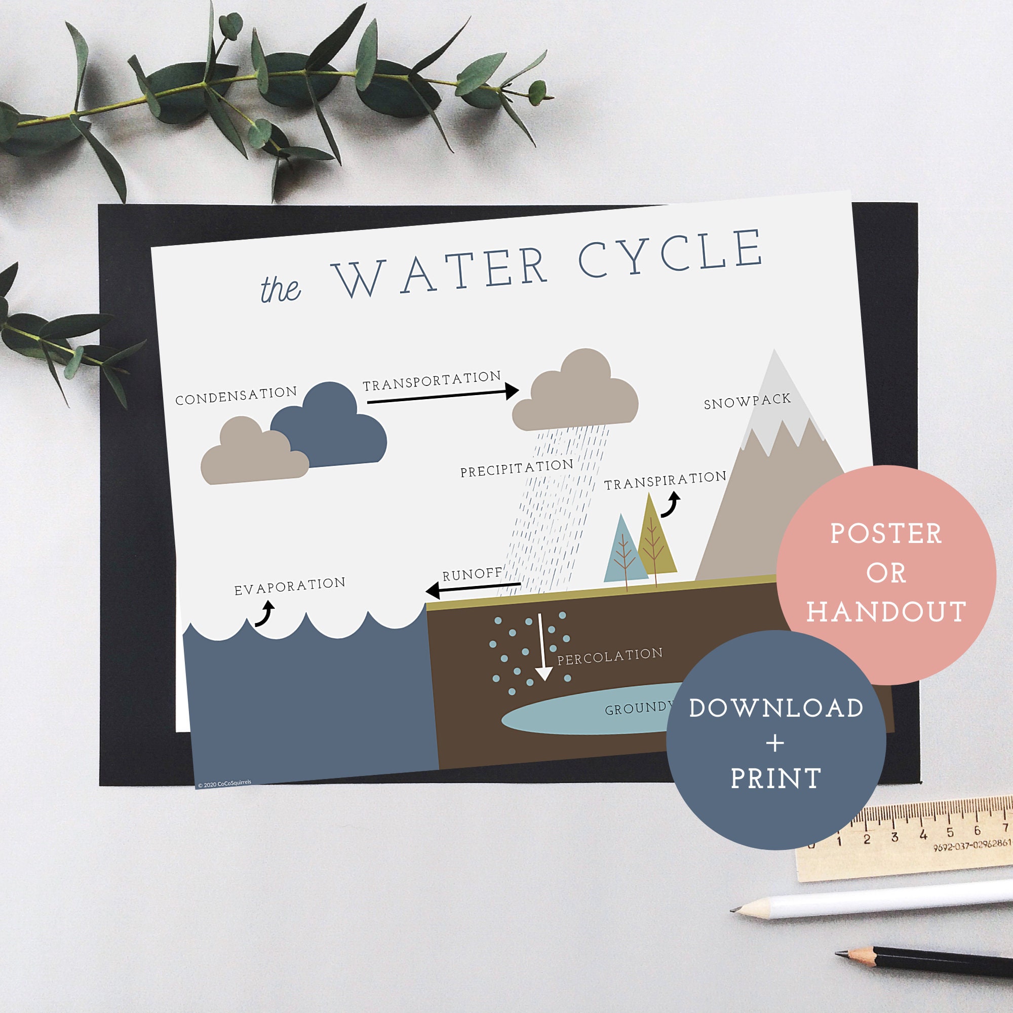 Water Cycle Printable Poster - Etsy