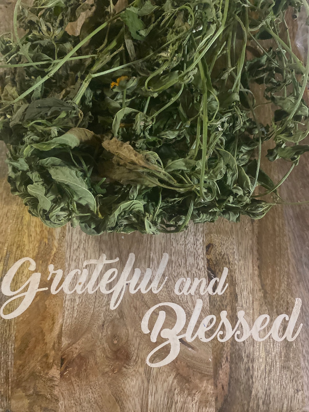 Marilope - Damiana Turners Ulmifolia Diffusa Attraction Herb -yellow ...