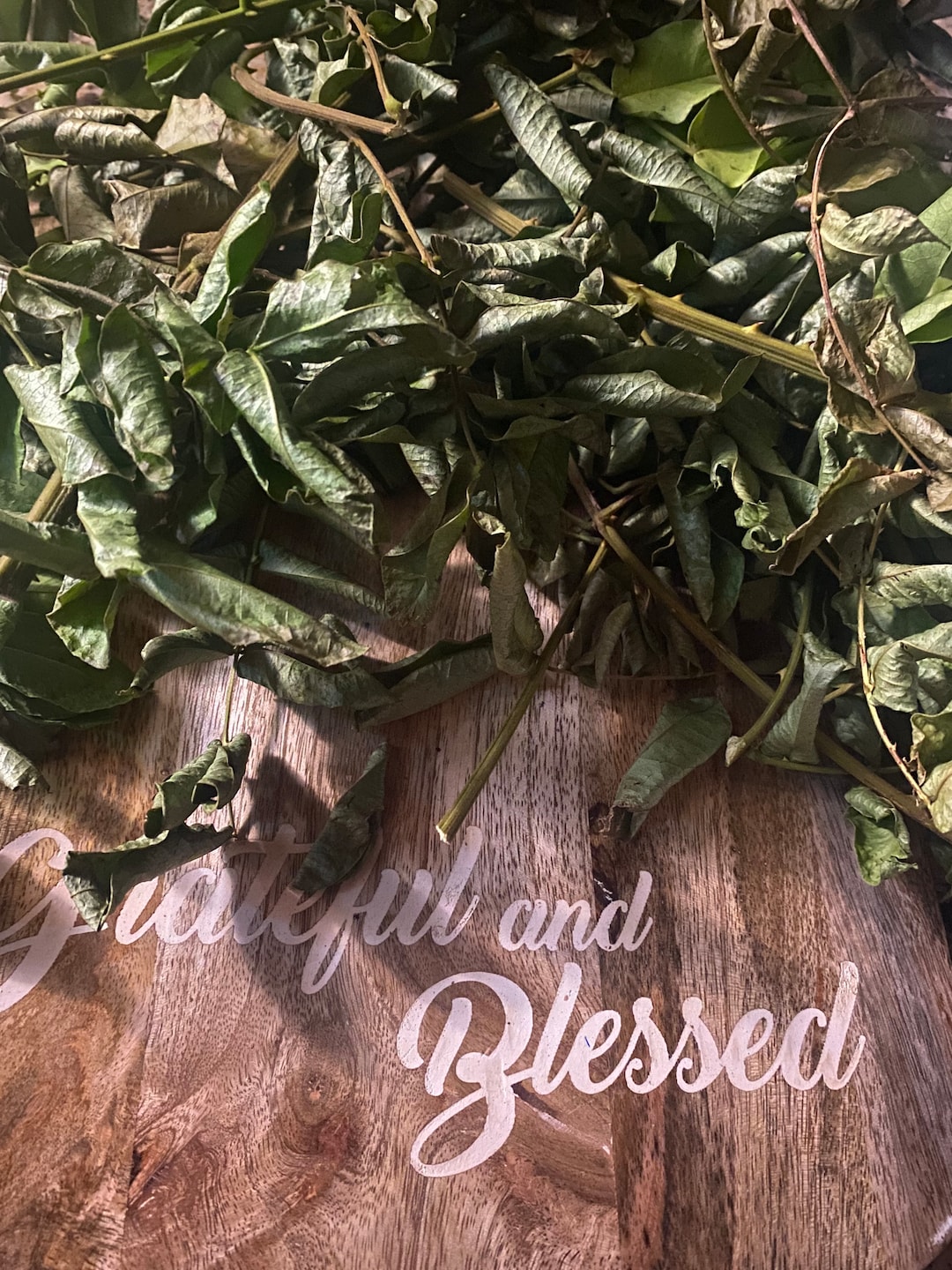 Quita Maldicion - Curse Remover - Grey Knickers Dry Preserve Cuttings ...