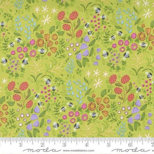 Robin Pickens Wild Blossoms Ombre Fabric - Etsy