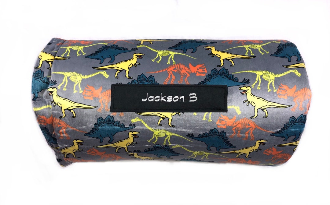 Dino Dreams: Soft Gray Dinosaur Minky All-in-one Nap Mat With ...