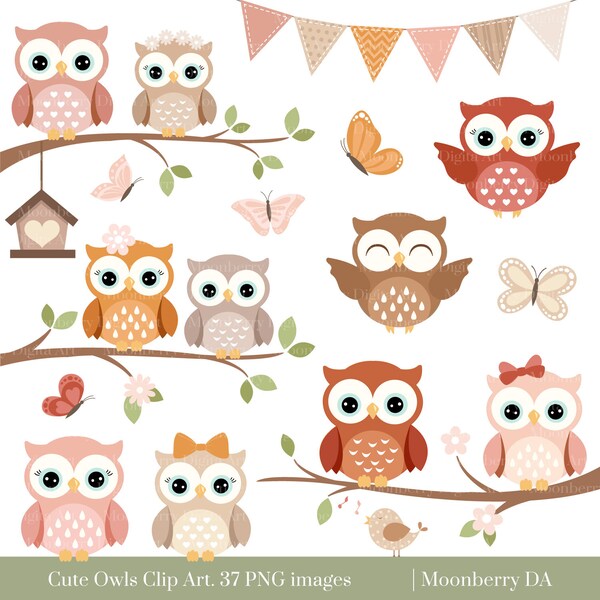 Cute Owl Clipart - Etsy