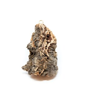 24 Lbs - Virgin Cork Bark Slabs for Tillandsia & Bromeliads - Fast FREE ...