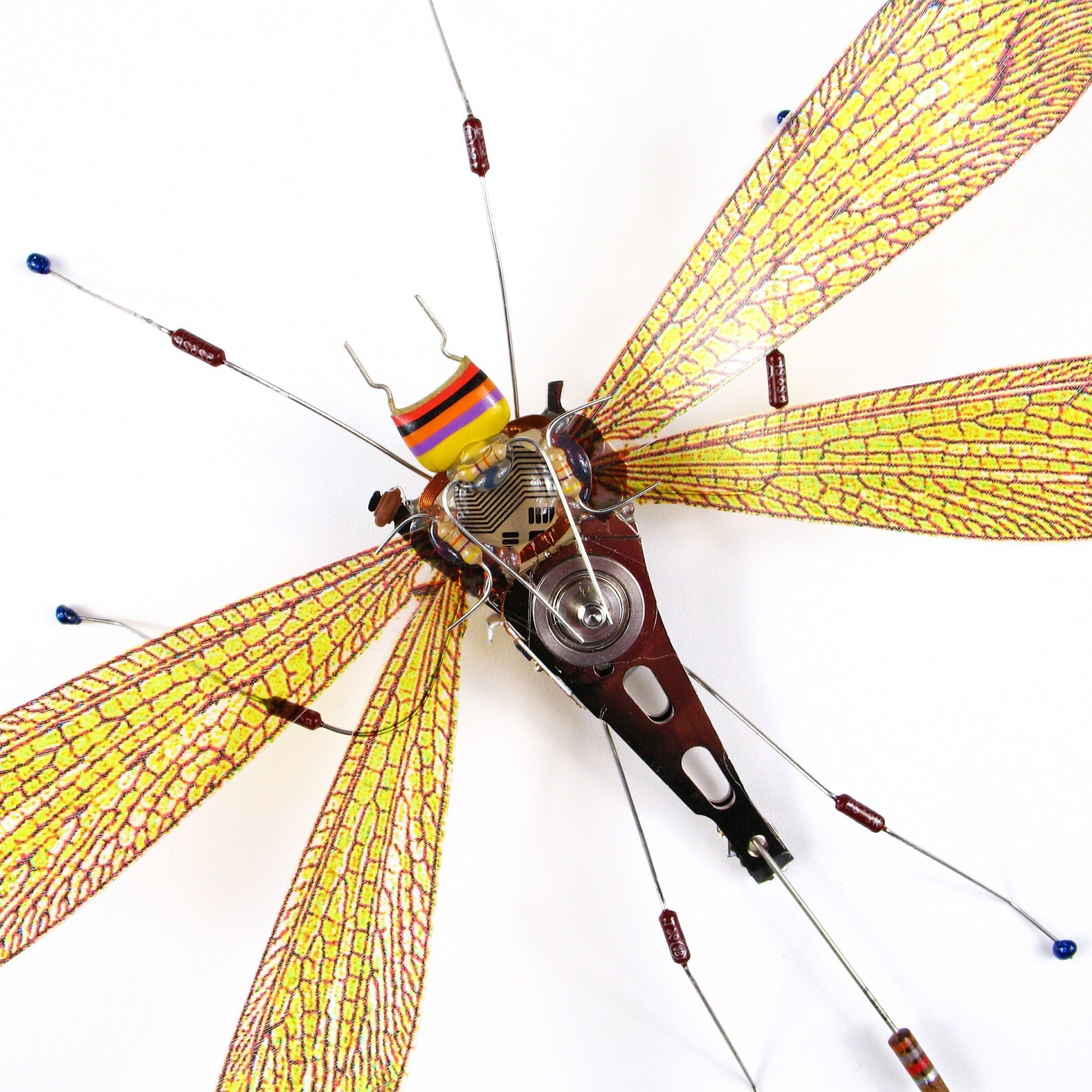 Insect Art Insect Wings Frame Insect Engineer Gift Recycled - Etsy