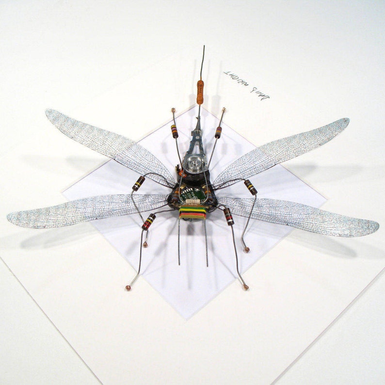 Insect Art Insect Wings Framed Insect Electrician Gift - Etsy
