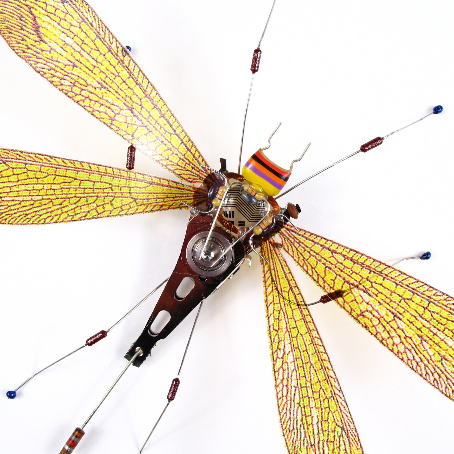 Insect Art Insect Wings Frame Insect Engineer Gift Recycled - Etsy