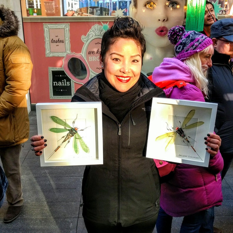 Insect Art Insect Wings Frame Insect Engineer Gift Recycled - Etsy