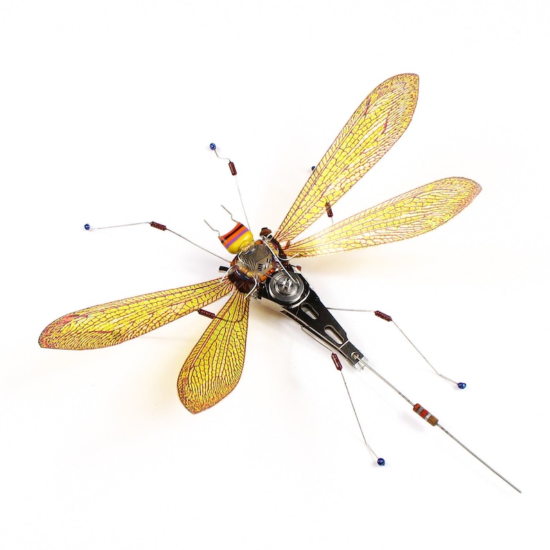 Insect Art Insect Wings Frame Insect Engineer Gift Recycled - Etsy