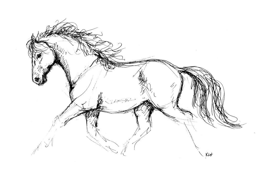 Digital Download, Pen and Ink Artwork, Equestrian Drawing, Trotting Cob ...