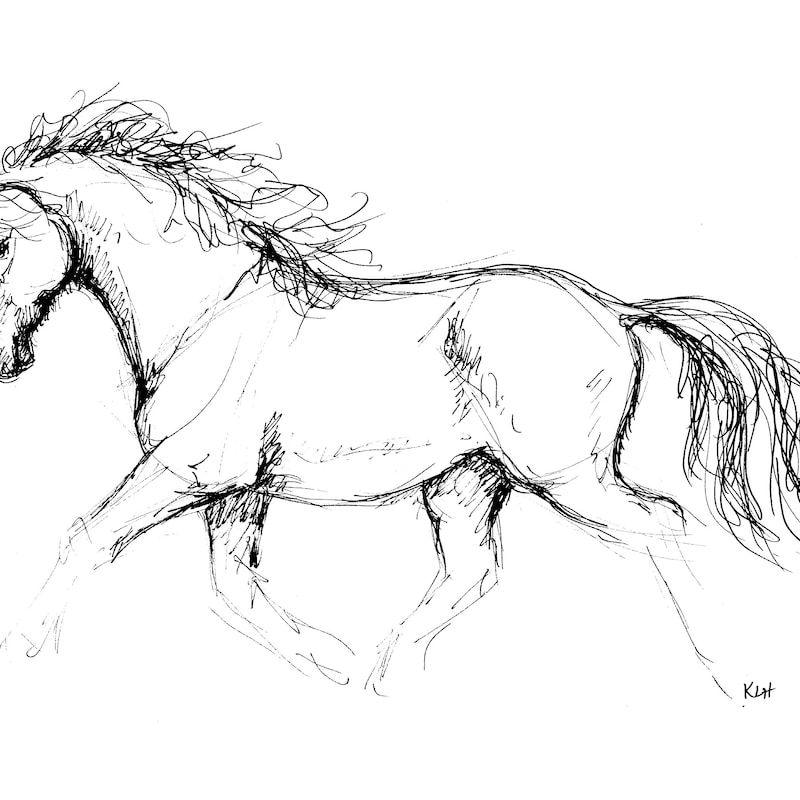 Horse Drawing - Etsy