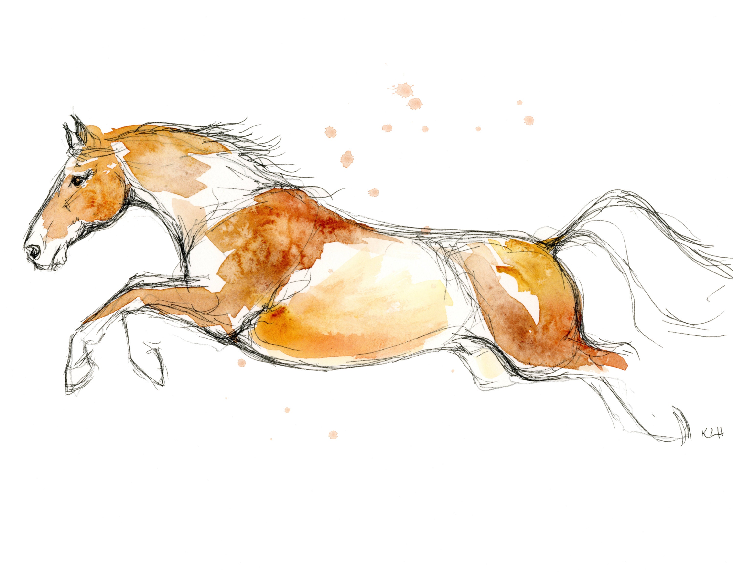Digital Download, Watercolor and Ink Horse, Equestrian Drawing - Etsy