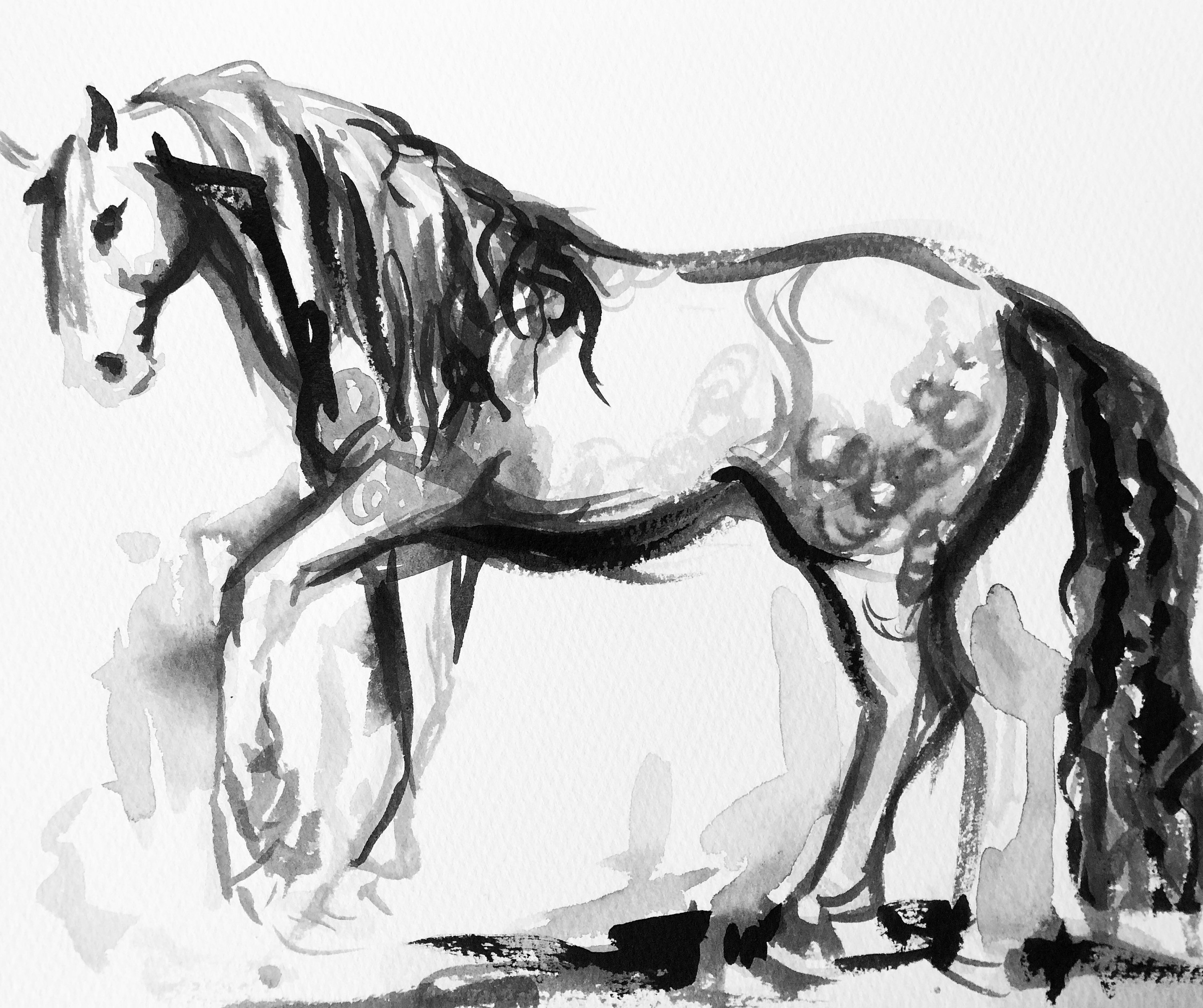 Original Ink Painting Spanish Horse | Etsy