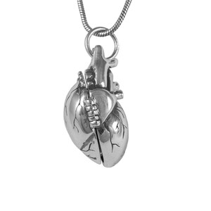 Anatomical Heart Locket With Small Glass Bottle, Heart Necklace ...