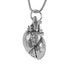 Anatomical Heart Locket With Small Glass Bottle, Heart Necklace ...