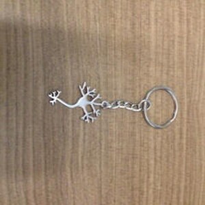 Neuron Keychain, Gift for Neurologist, Medical Gift, Anatomy Keyring ...