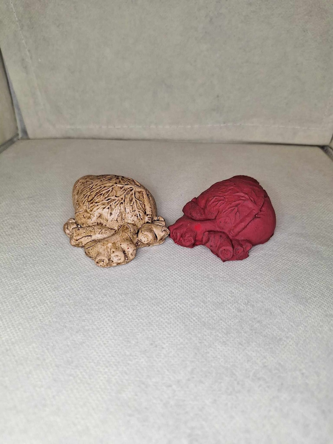 Anatomical Heart, Paper Weight, Heart, Withered Heart, Red Heart ...