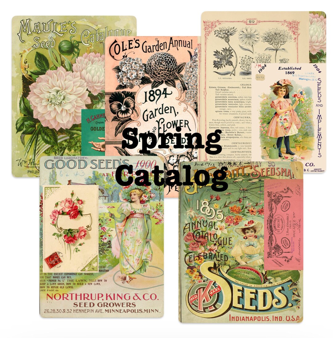 Spring Catalog, Vintage Floral Ads, Flowers, Junk Journals - Etsy