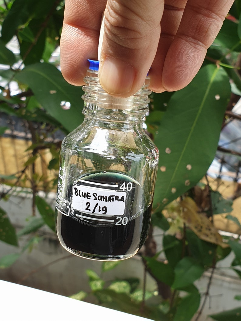 BLUE SUMATRA RARE Pure Wild Agarwood Oud Oils Indonesia - Etsy