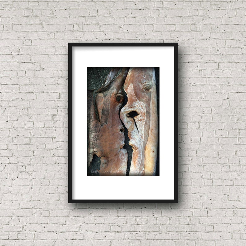 Abstract Photo | Picasso Modern Print | Tree Bark Art | Abstract Tree ...