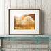 Sunlight & Trees Photo Golden Sunshine Art tree Blossoms - Etsy