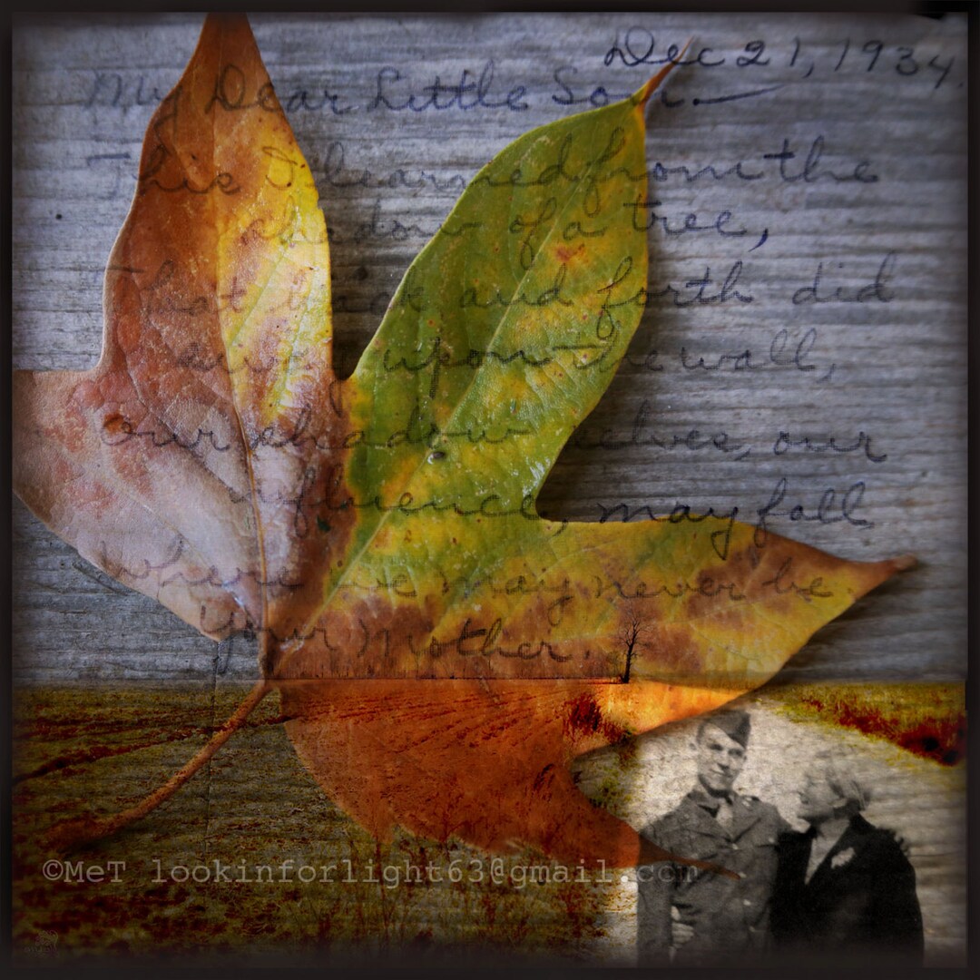 Vintage Photo Art | Old Poem Art | I Learned From a Shadow of a Tree ...