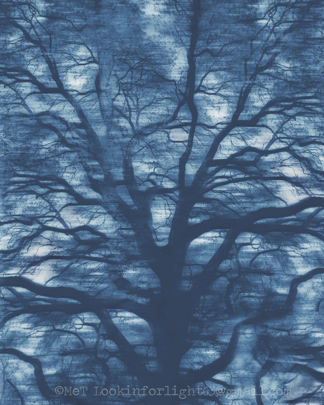 Abstract Tree Art | Surreal Tree Photo | Sublime Tree | Blue Tree Art ...