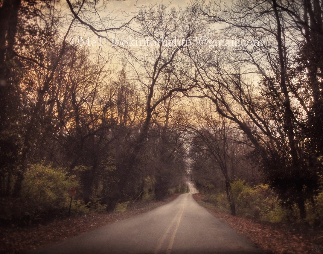 Indiana Photography, Midwest Country Road, Winter Woodland Road, Road ...